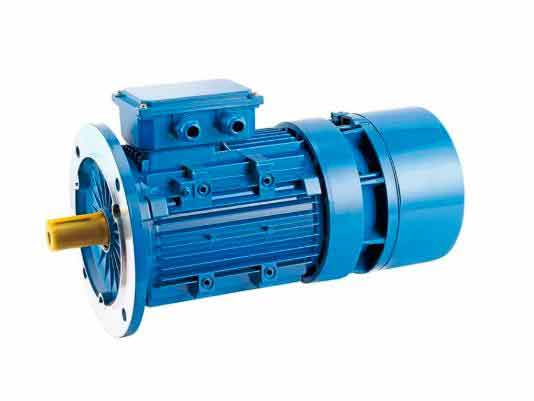 Induciton AC Motor - PJM